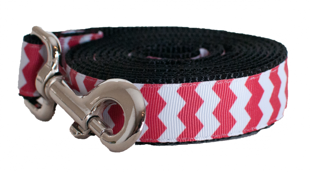 Leashes – Paw Paws USA
